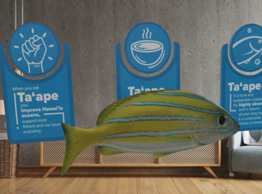 CONSERVATION INTERNATIONAL HAWAII - Augmented Island Studios