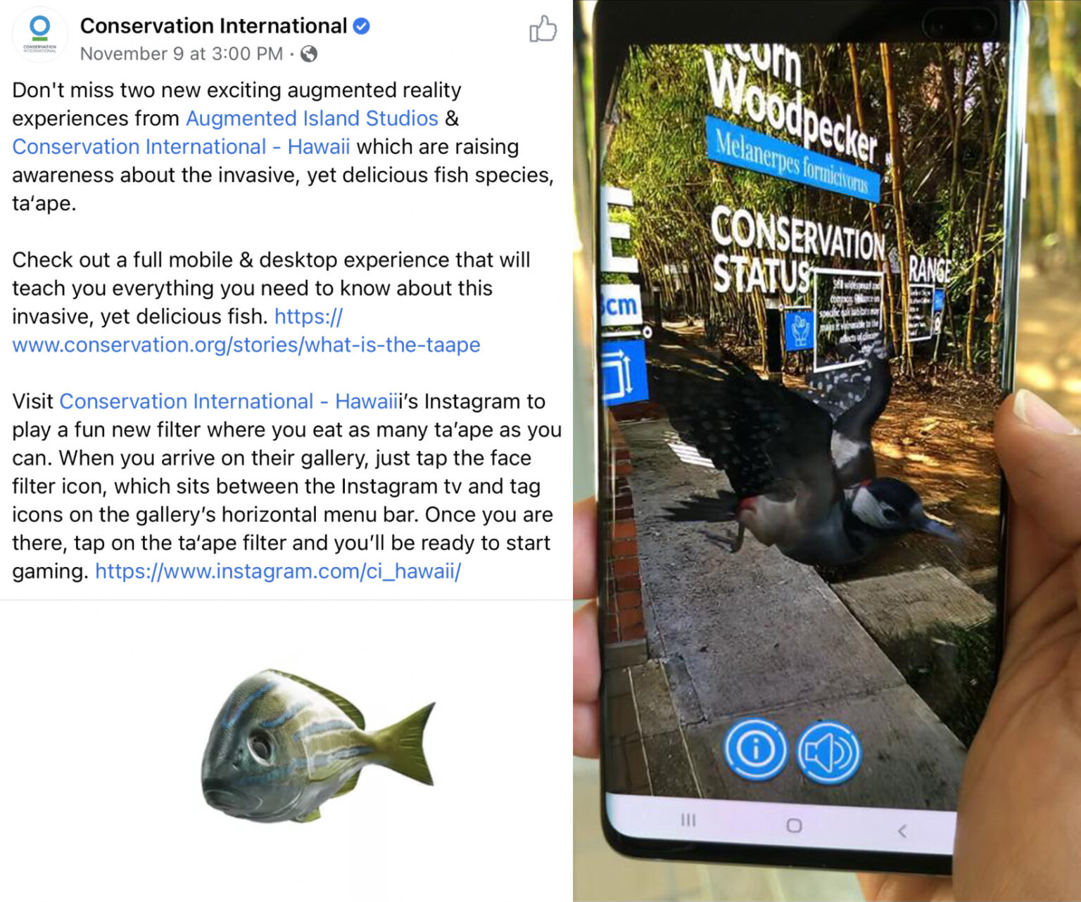 Augmented Reality and Virtual Reality: A Game-Changer for Environmental ...